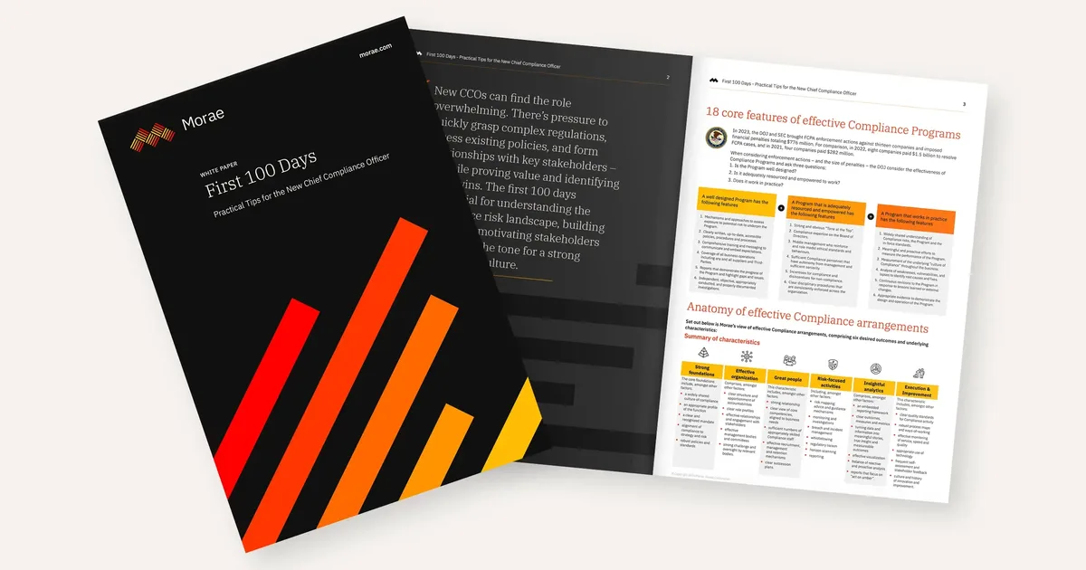 First 100 Days Checklist for CCOs | Morae